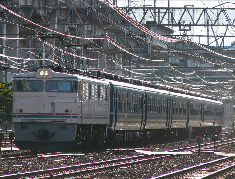 【鉄レポ2006/11/12】EL&SL奥利根号・尾久イベント返却回送・貨物 | 東京きた鉄道