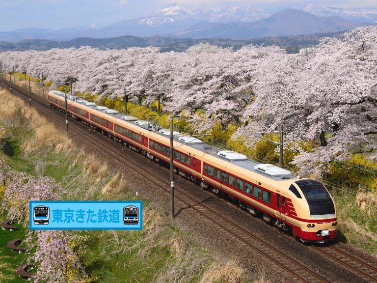 【上野発の夜行列車復活なるか…!?】どうなる?E653系ﾆｲU-102編成 | 東京きた鉄道